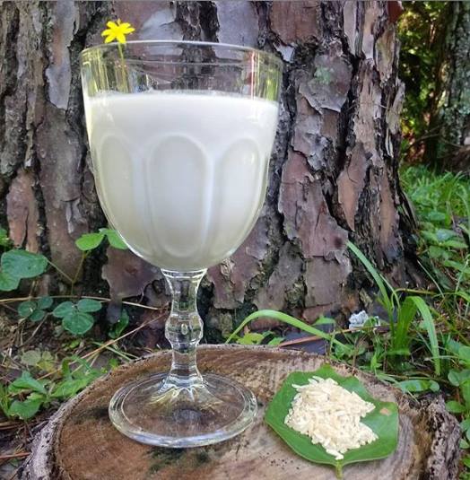 Masato de Arroz: bebida fermentada Colombiana